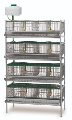 Four Tier Quail Breeder Cage, Floor standing.